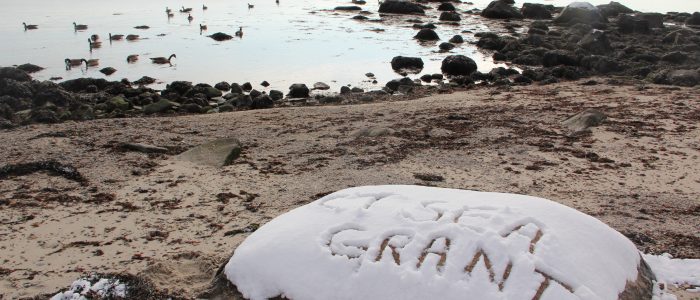 Home | Connecticut Sea Grant