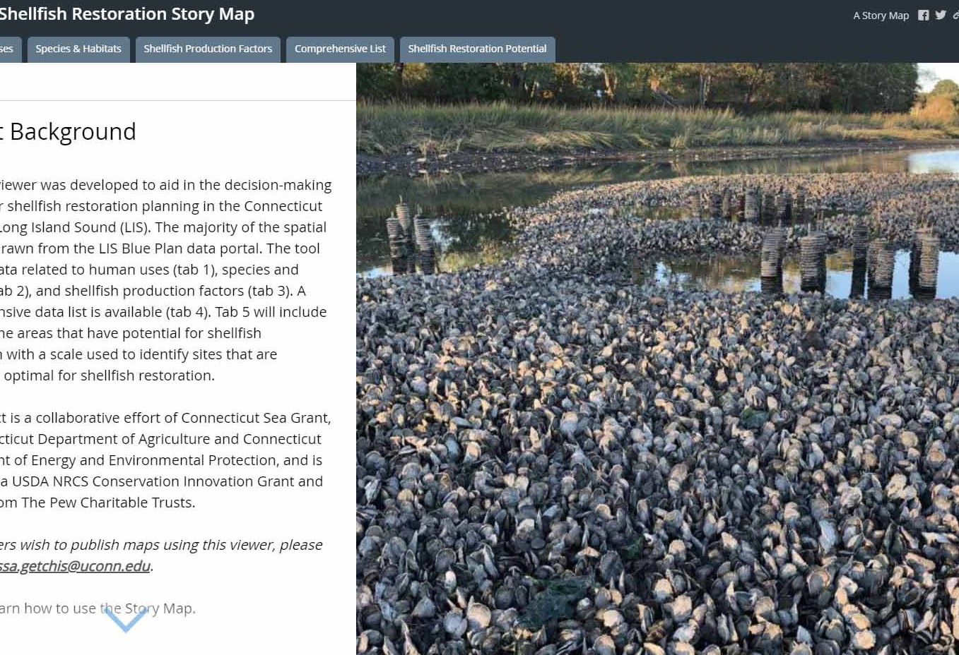 New interactive tool will guide shellfish restoration in LIS ...