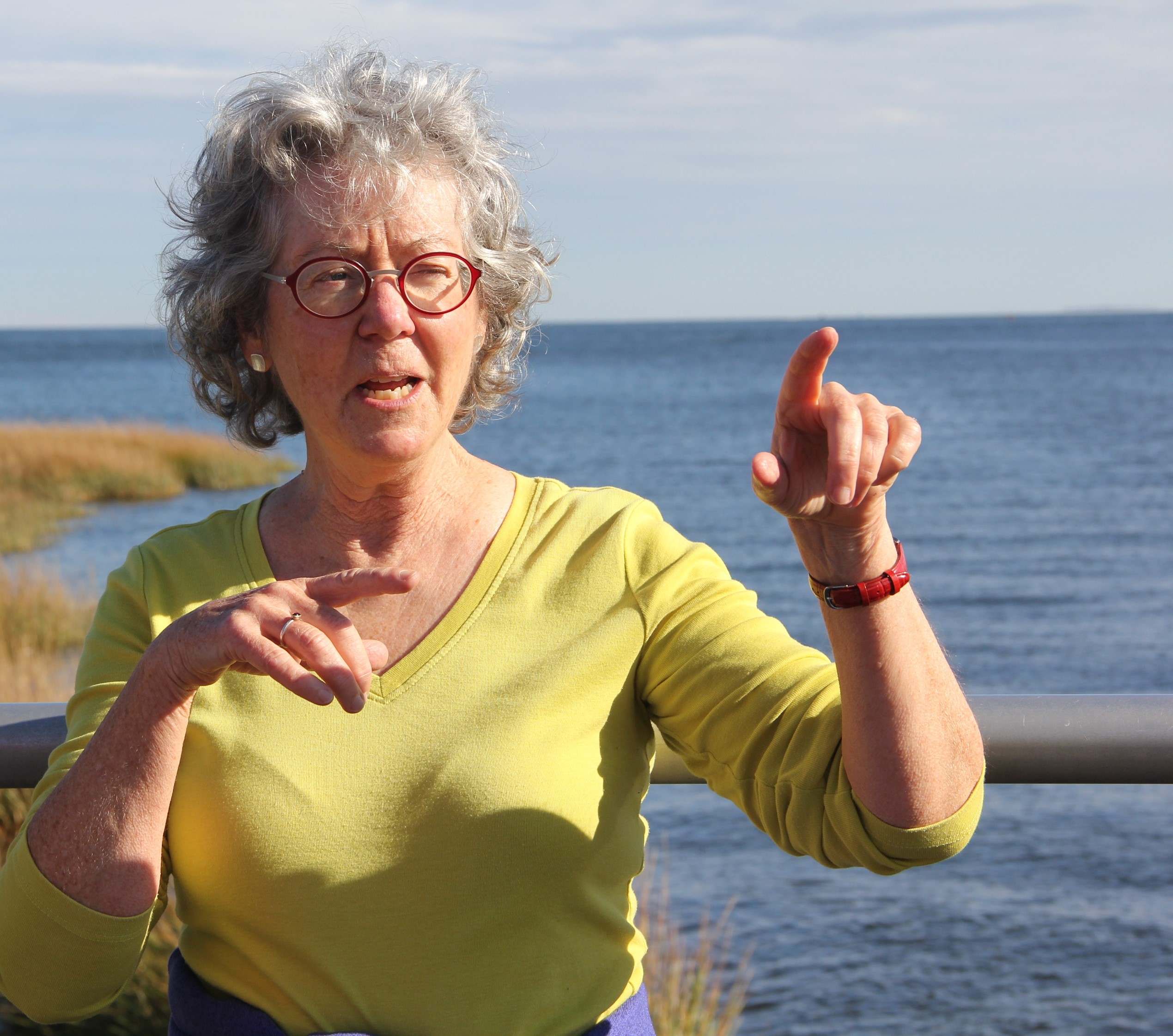 Judy Preston offers talk titled 'The New Lawn' | Connecticut Sea Grant