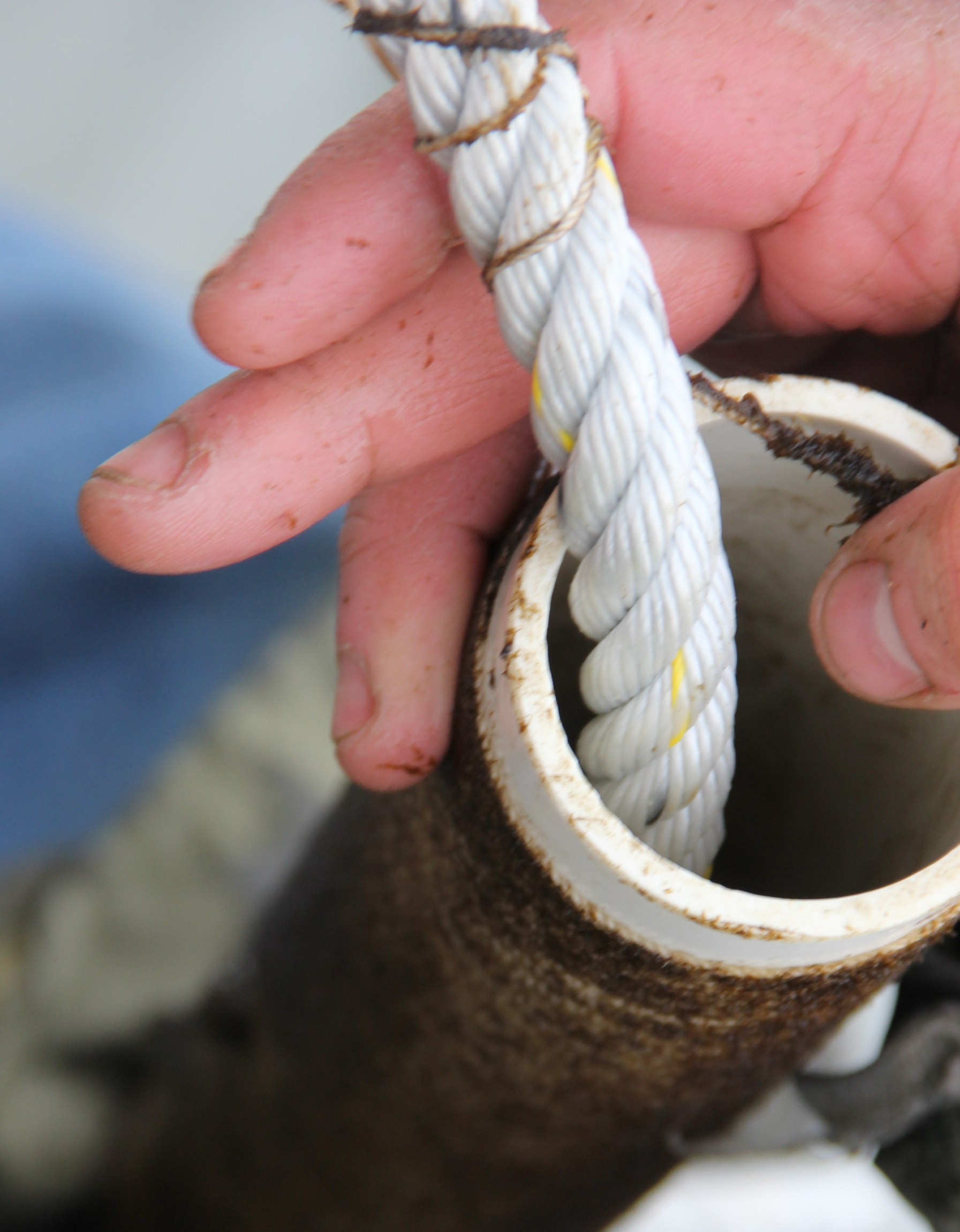 Federal funds will enhance aquaculture education, kelp farming ...